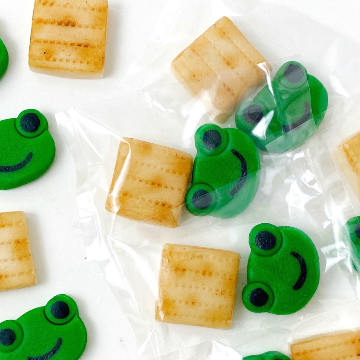 Passover Seder Frog & Matzah Mini Duets Gift | marzipops